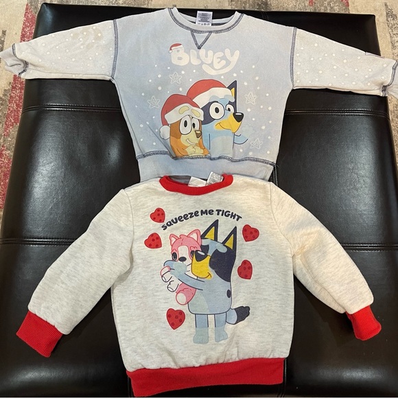 Shirts & Tops | Bluey Sweaters | Poshmark